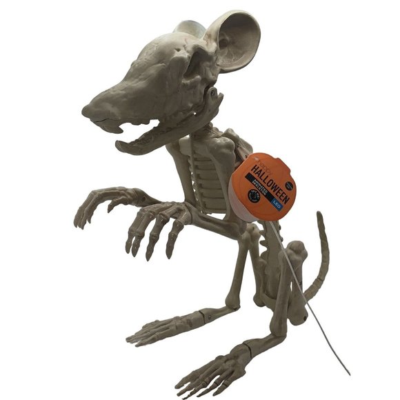 Happy Halloween | Holiday | Halloween Animated Skeleton Rat Sounds Eyes ...